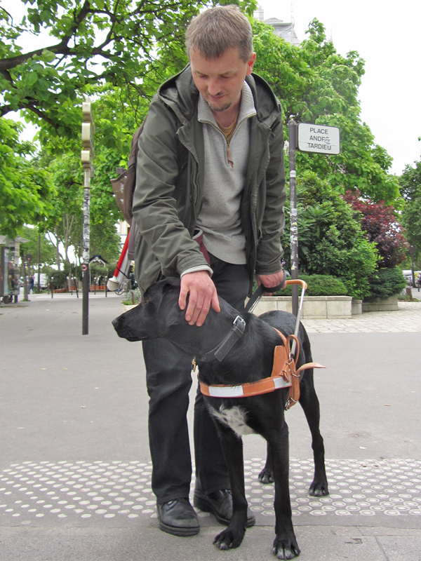 Faire une demande de chien-guide | CIE Chiens-guides du coeur